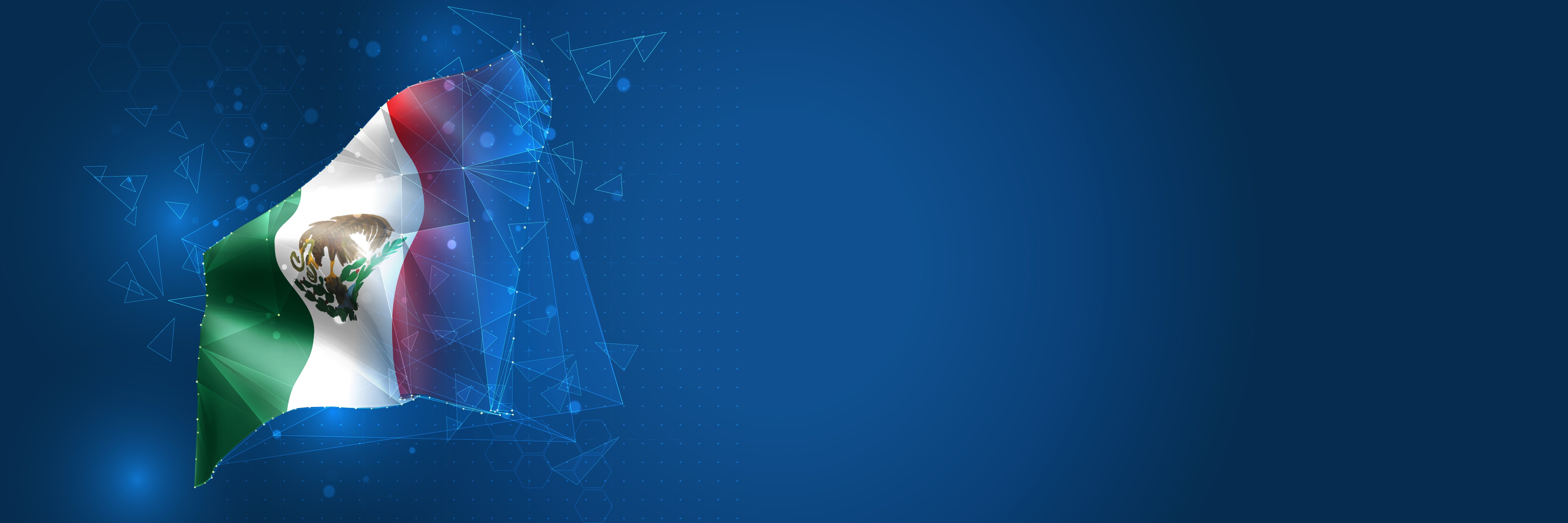 Electronic Invoicing in Mexico - Indicom